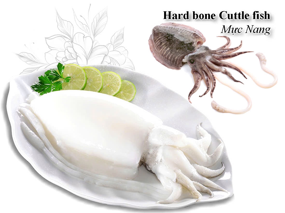 Cuttlefish (cleaned) - Premium Seafood from Vietnam - HM Vina