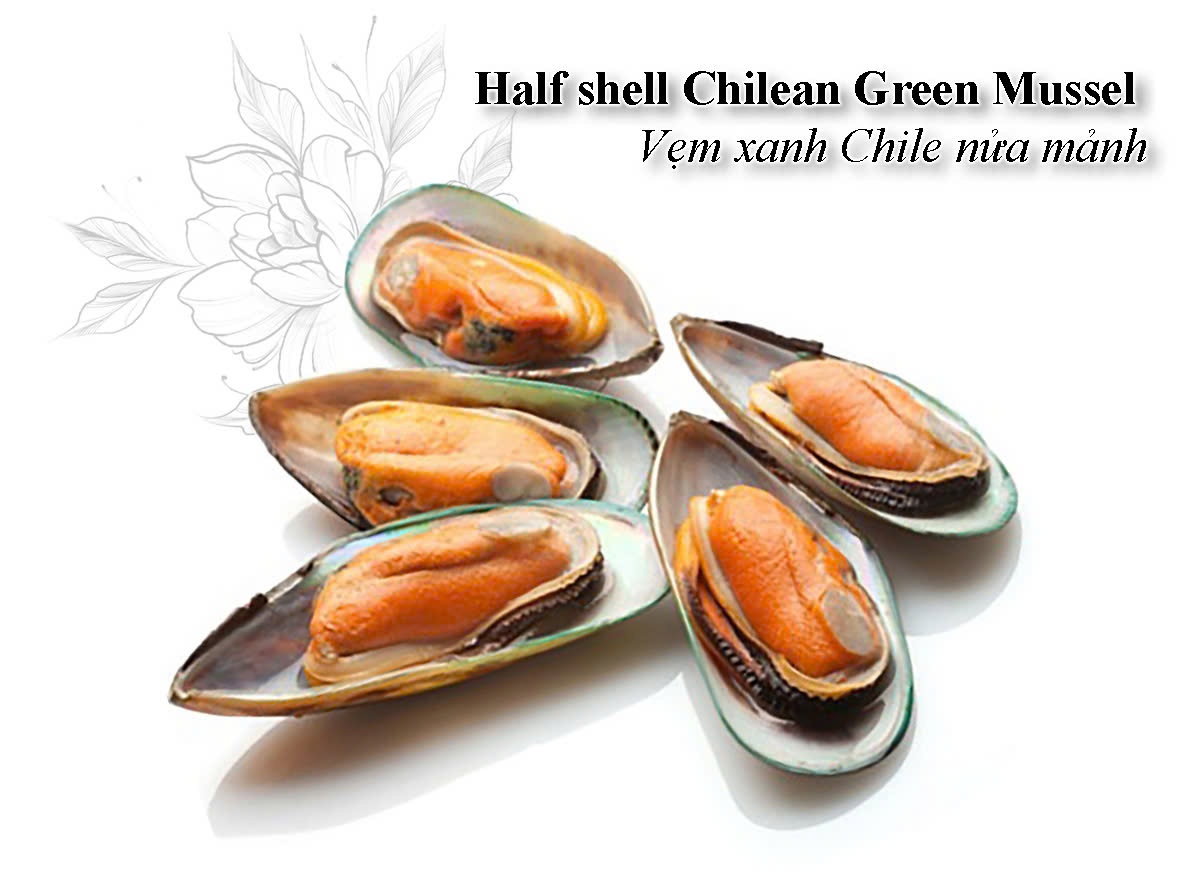 Half Shell Chilean Green Mussel - HM Vina
