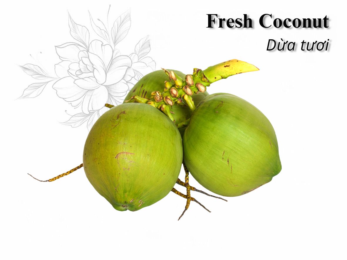 Vietnamese Fresh Coconut: Nature's Perfect Tropical Refreshment